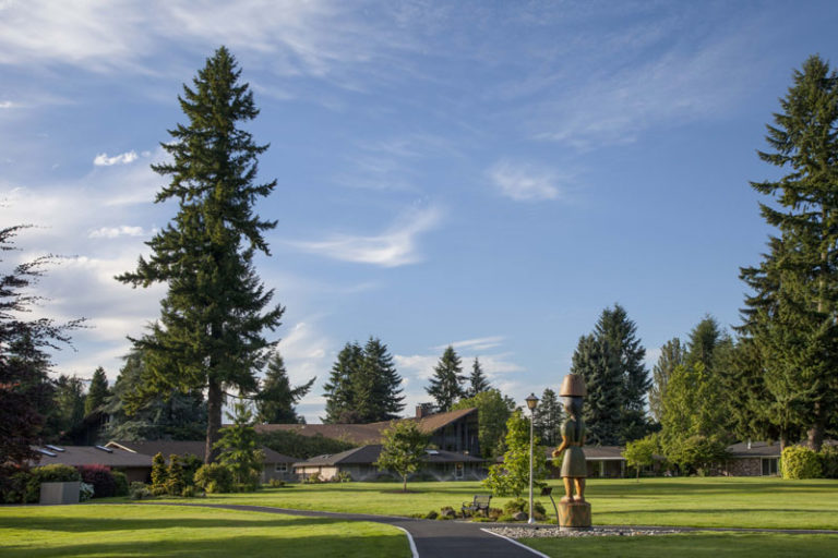 Introducing Kya! - Panorama