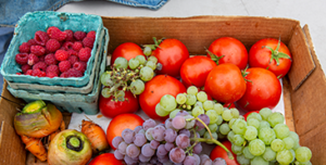 Pea Patch - Panorama